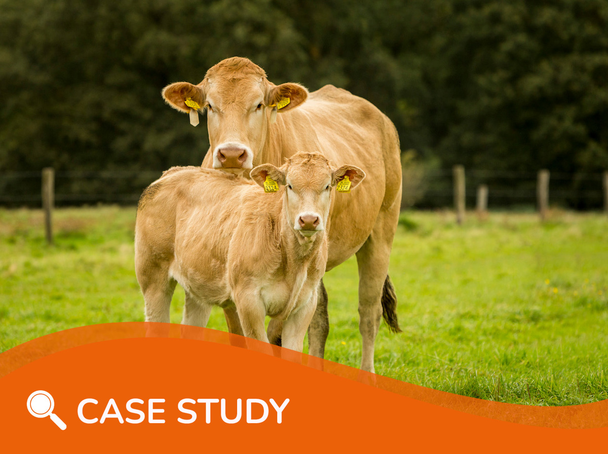 Case study: Stellapps - Nutreco Corporate