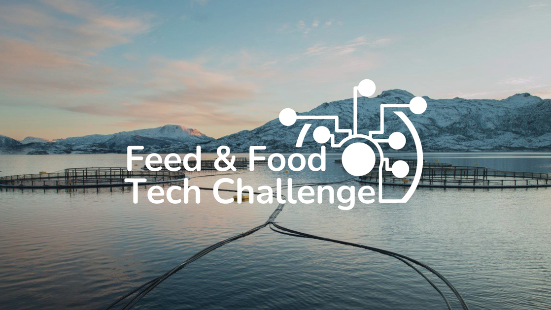 Nutreco Feed & Food Tech Challenge now open for applicants - Nutreco ...